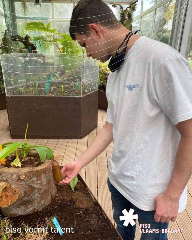 Uitwisselingsprogramma's verruimen de blik op de wereld - PISO